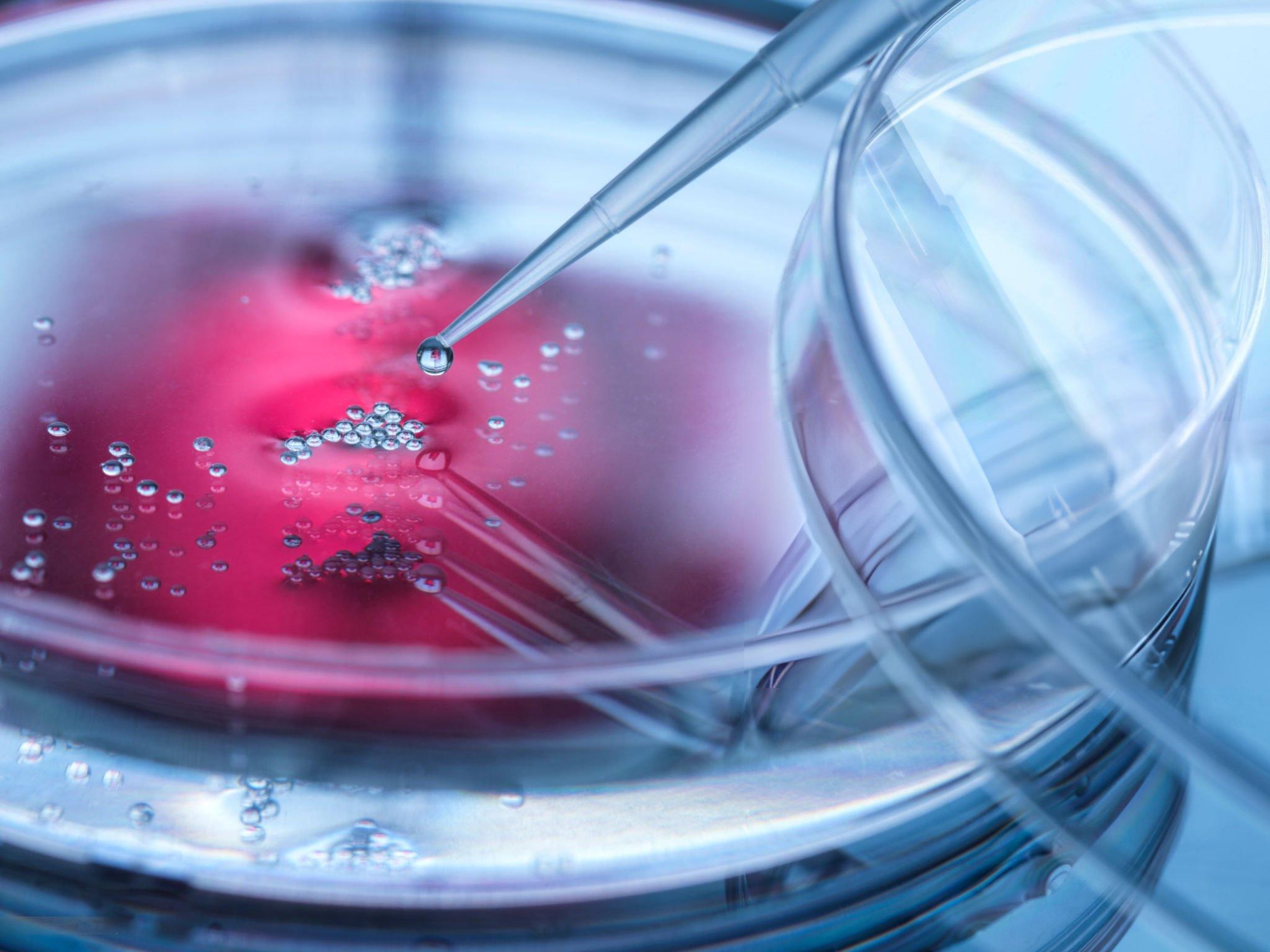 Revolutionizing Research: Advances in 3D Cell Culture Techniques – FC ...