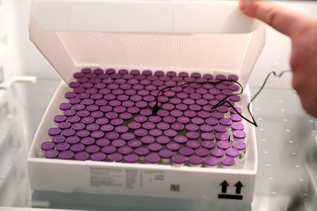 Importance of Adding a Temperature Monitoring Sensor to Your Fridge ...