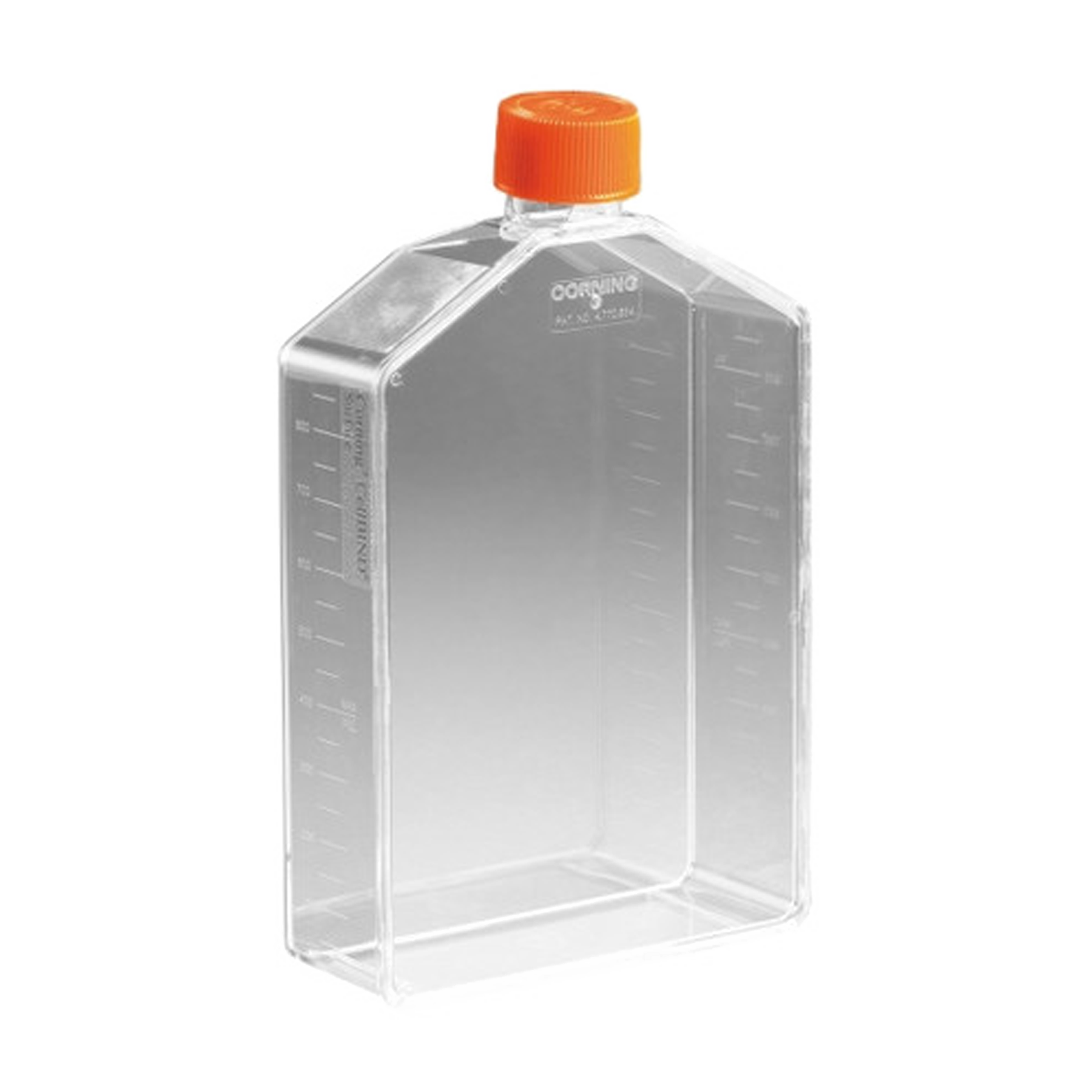 25 cm² Cell Culture Flask with Vent Cap – FC-BIOS SDN BHD