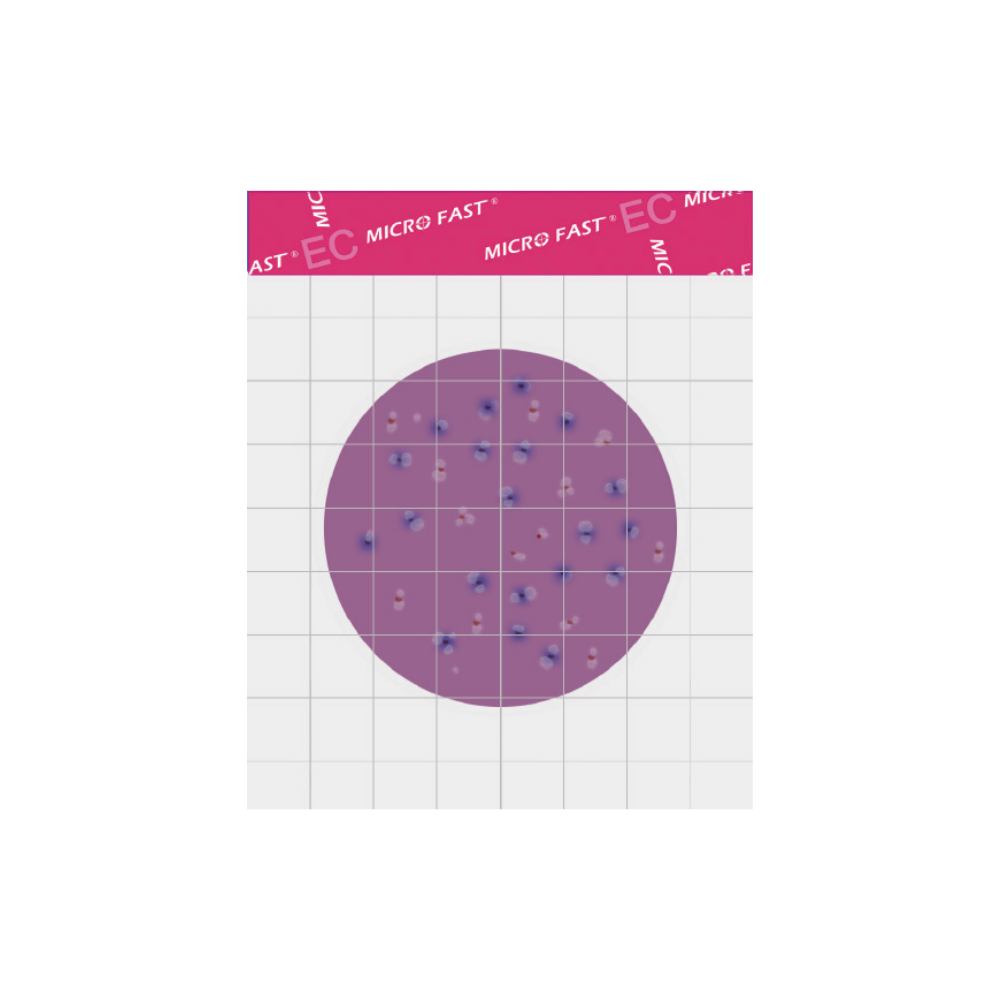 MicroFast® Coliform & E. coli Count Plate | Dual Detection in 24h – FC ...